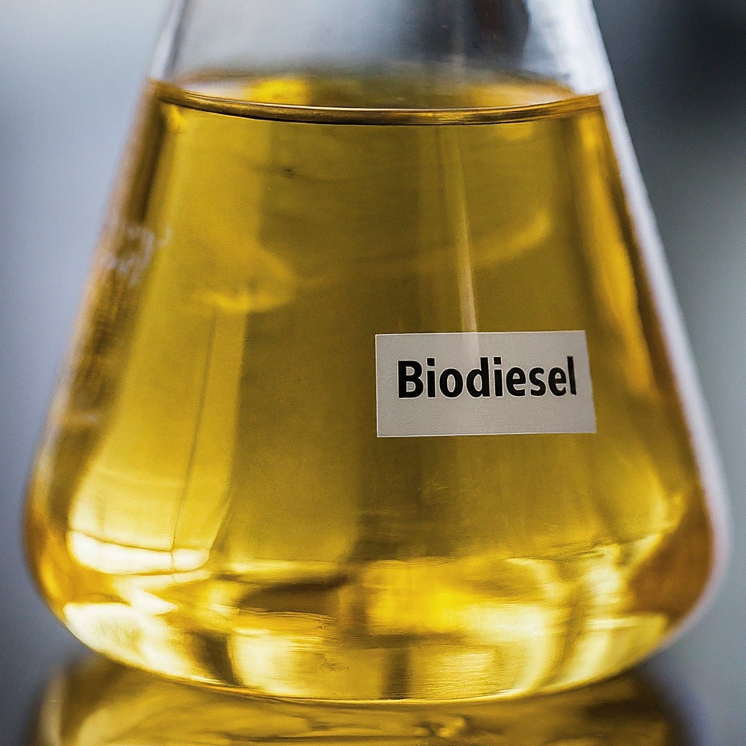 #DecodeAgri05: Used Cooking Oil to Biodiesel! – Random Whys