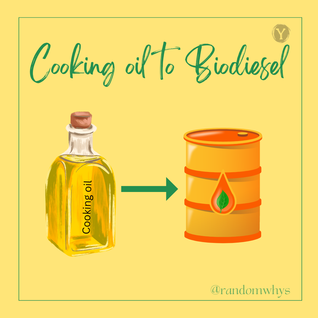 Used Cooking Oil to Biodiesel! – Random Whys