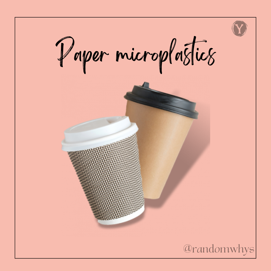Is the Paper cup Plastic free? – Random Whys