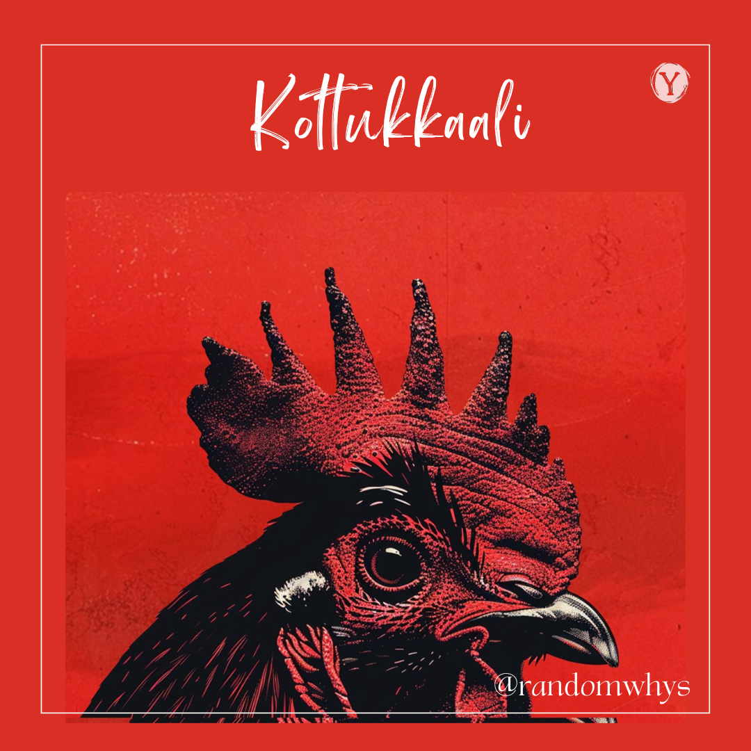 Kottukkaali/The Adamant Girl (2024) Movie Review – Random Whys