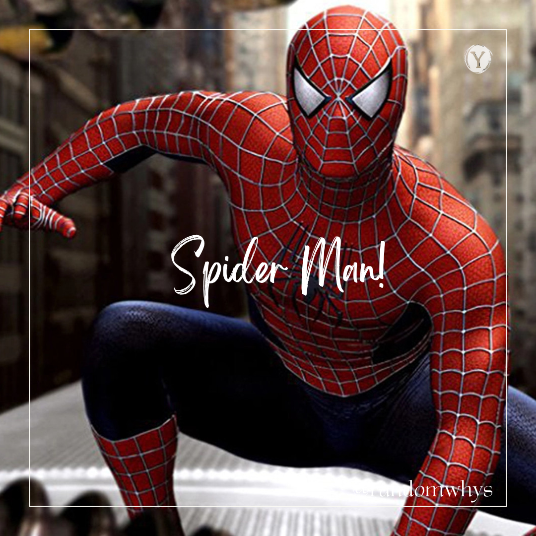 Spider Man – Random Whys