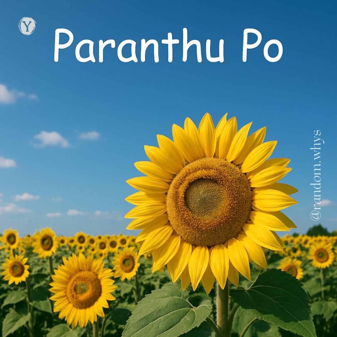 Paranthu Poo (2025) Movie Review – Random Whys